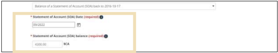 Setting up the CARM Portal: A Walkthrough for Importers - Carson ...