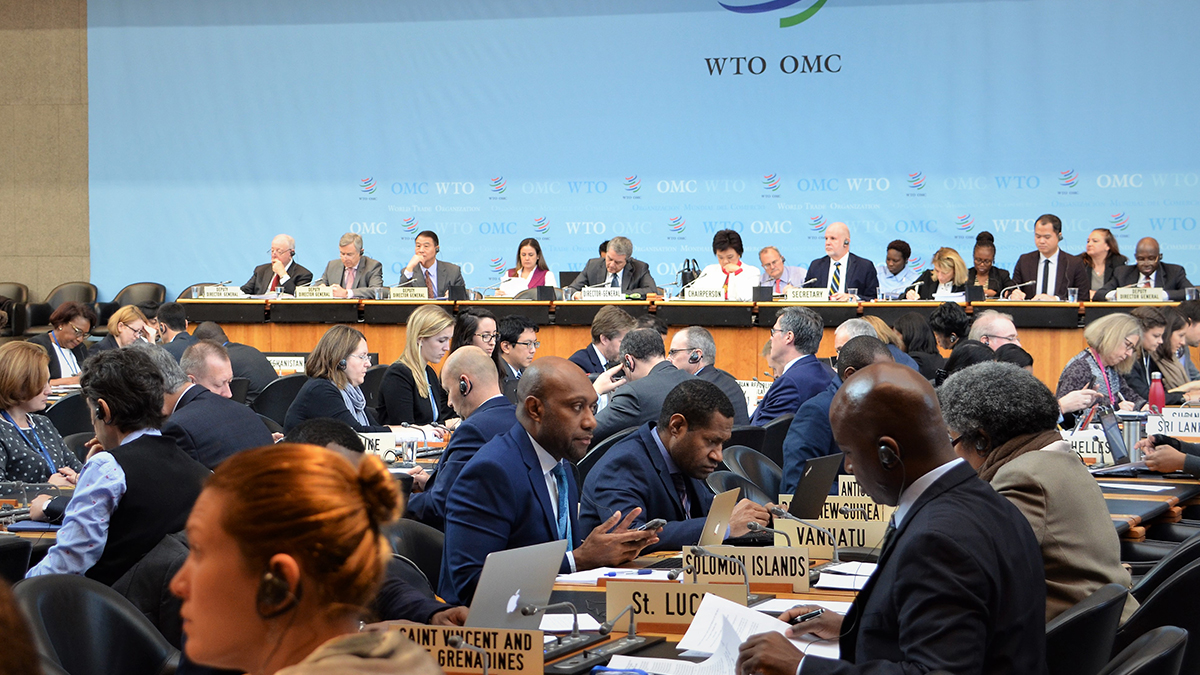WTO Members to Meet to Discuss COVID-19 Action Plan, Reforming the ...