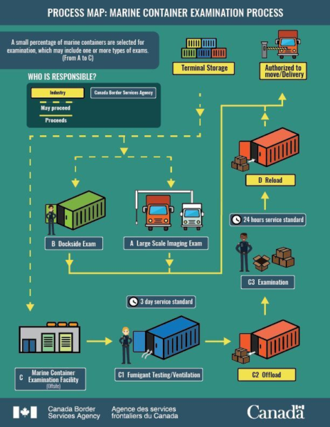 Marine Container Examination Process - Carson International
